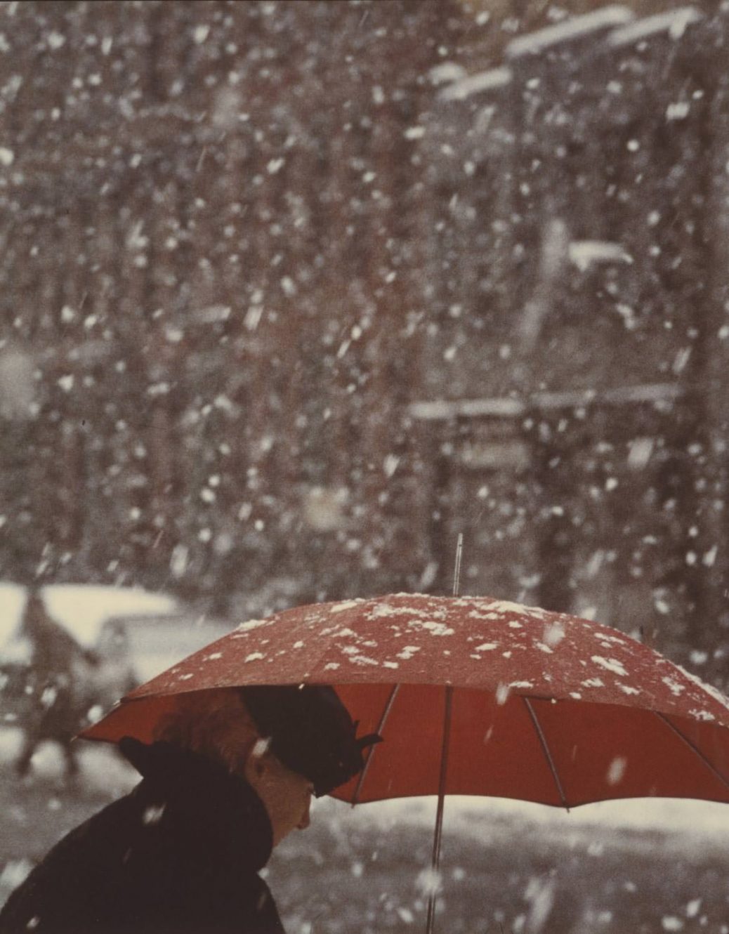 Saul Leiter: Retrospective - Exibart Street