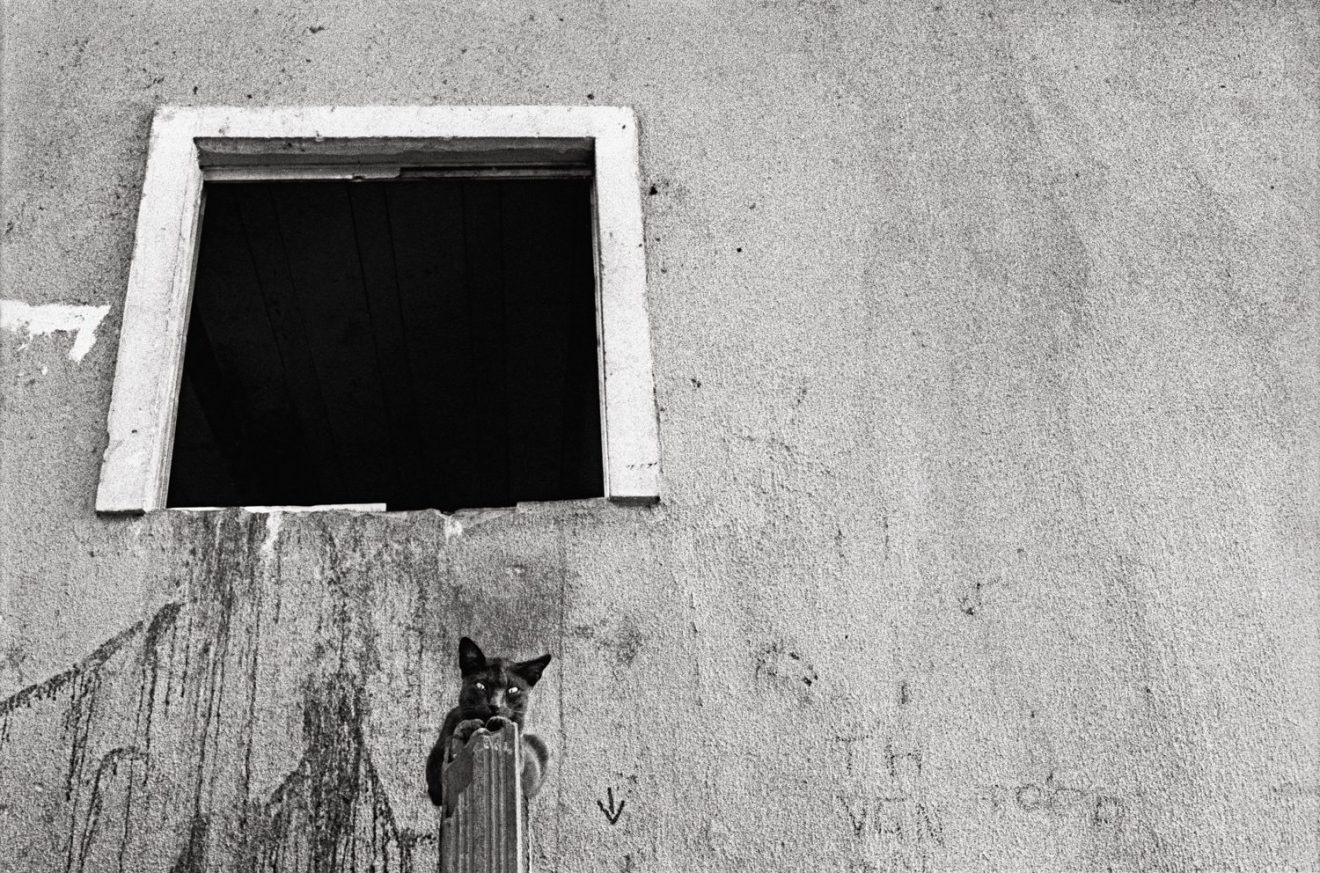 Pathos: the Humanistic Photography of Giorgio Negro - Exibart Street