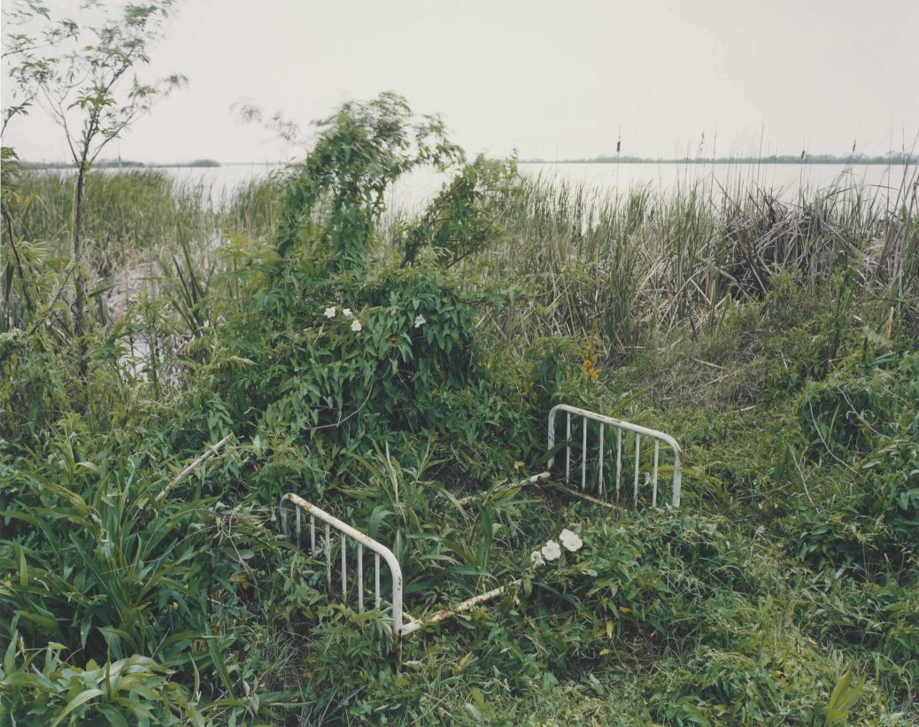 Alec Soth: Photography is a Language - Exibart Street