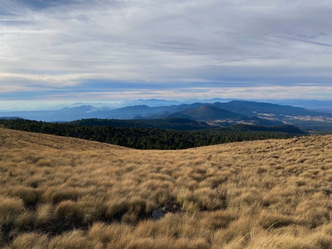 Apple Reveals the Most Affordable iPhone with the Best Single Camera ...