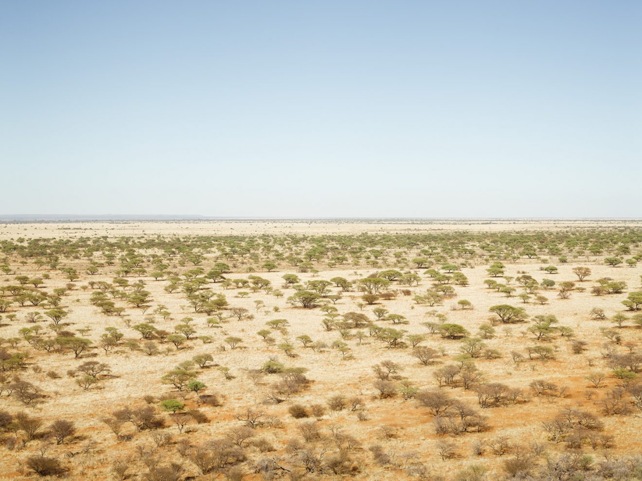 Roger Eberhard: Human Territoriality - Exibart Street