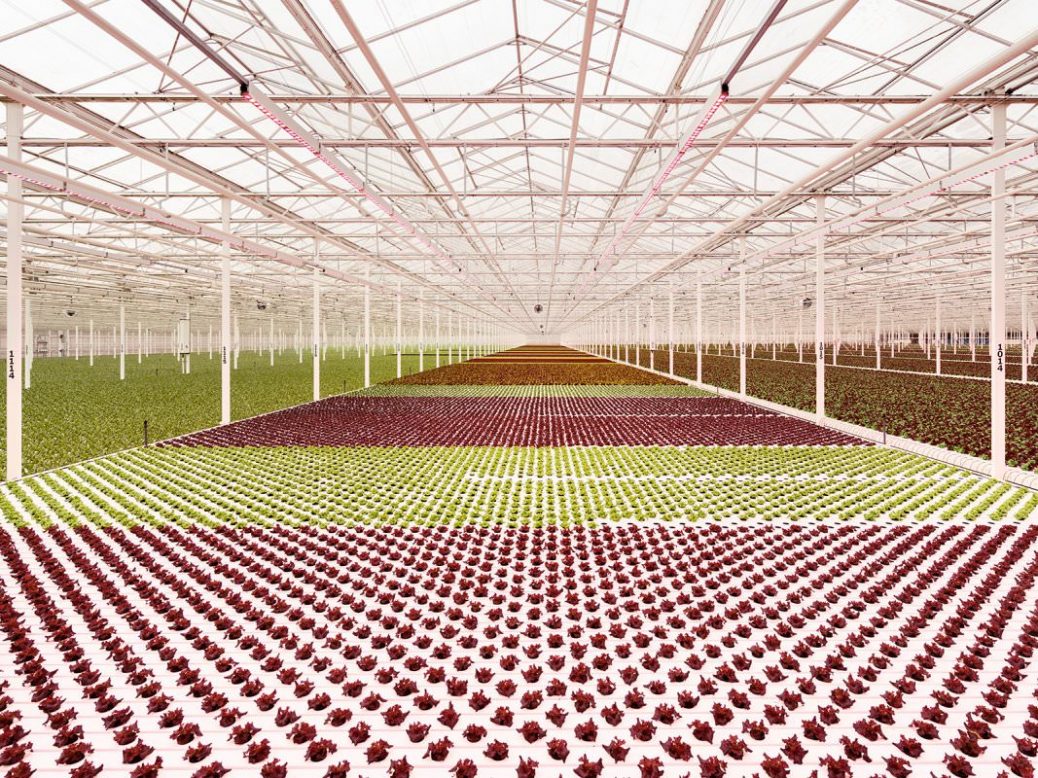 Leica Oskar Barnack Award 2020: The Winners - Exibart Street