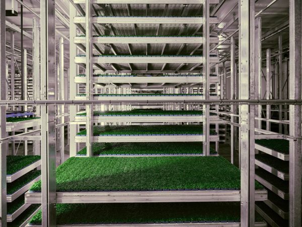 Leica Oskar Barnack Award 2020: The Winners - Exibart Street