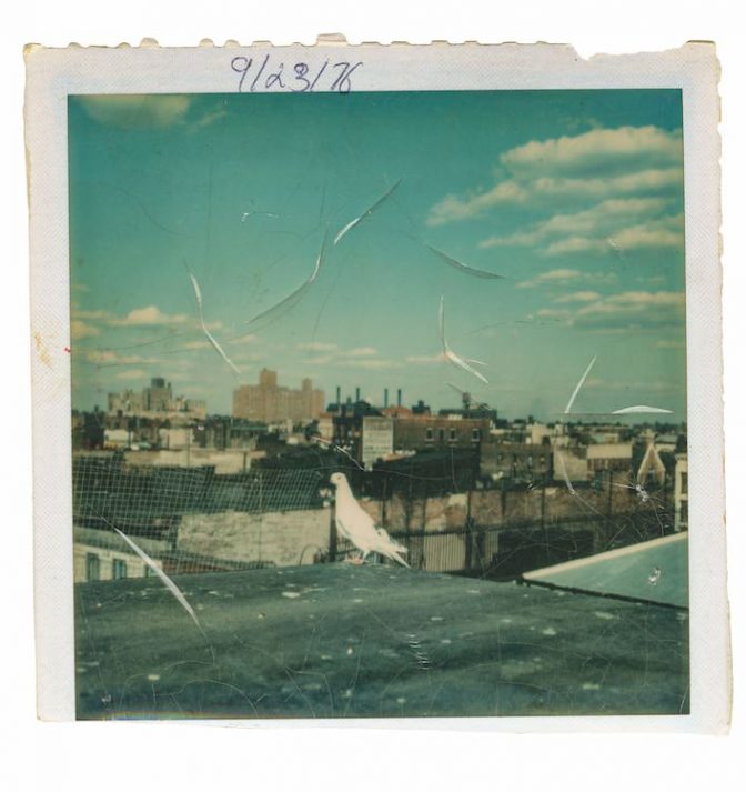 Susan Meiselas: Tar Beach. Life on the Rooftops of Little Italy ...