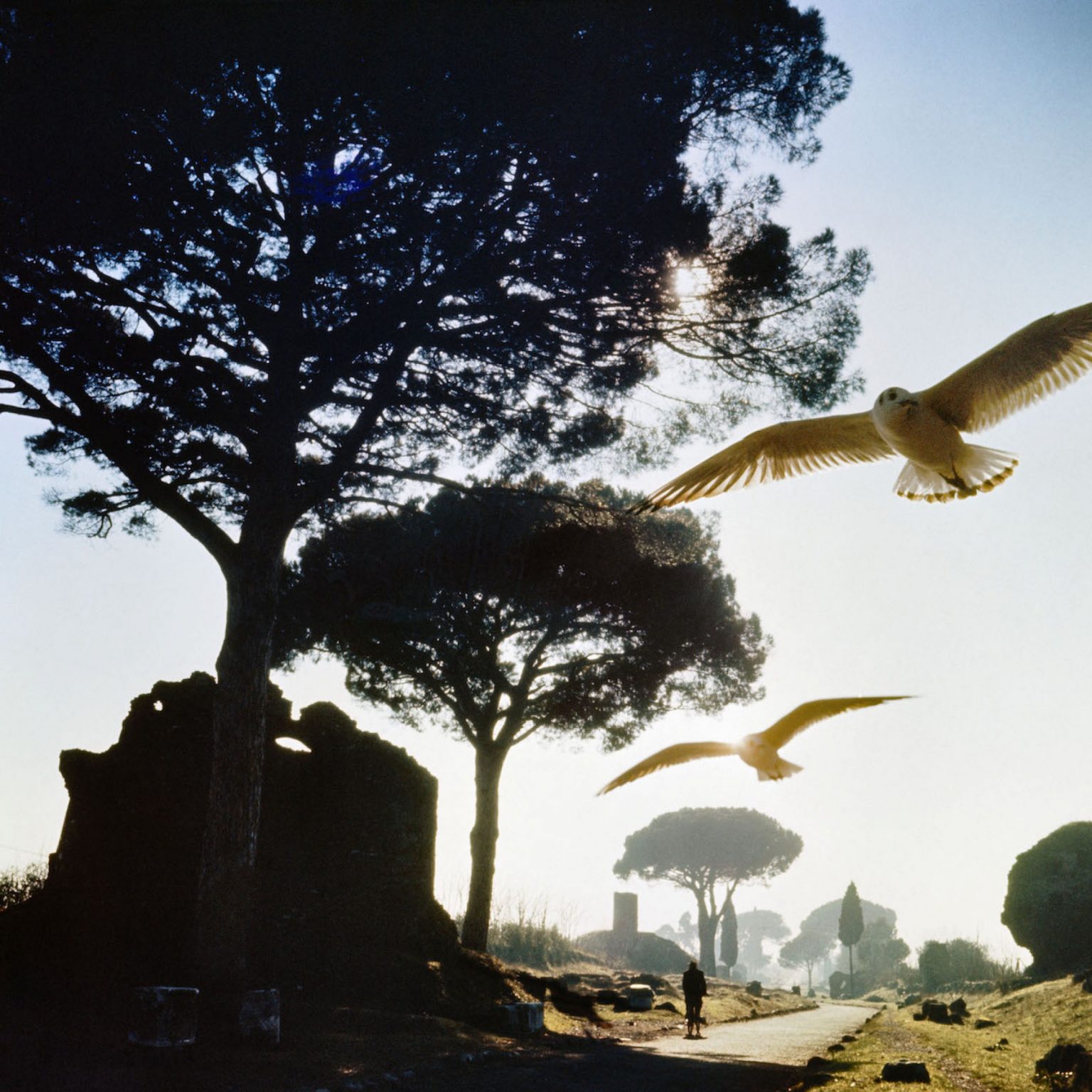 Jacques Henri Lartigue: Life in Color - Exibart Street