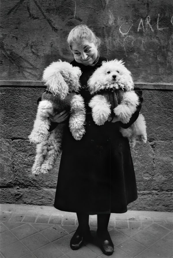 Magnum Dogs - Exibart Street