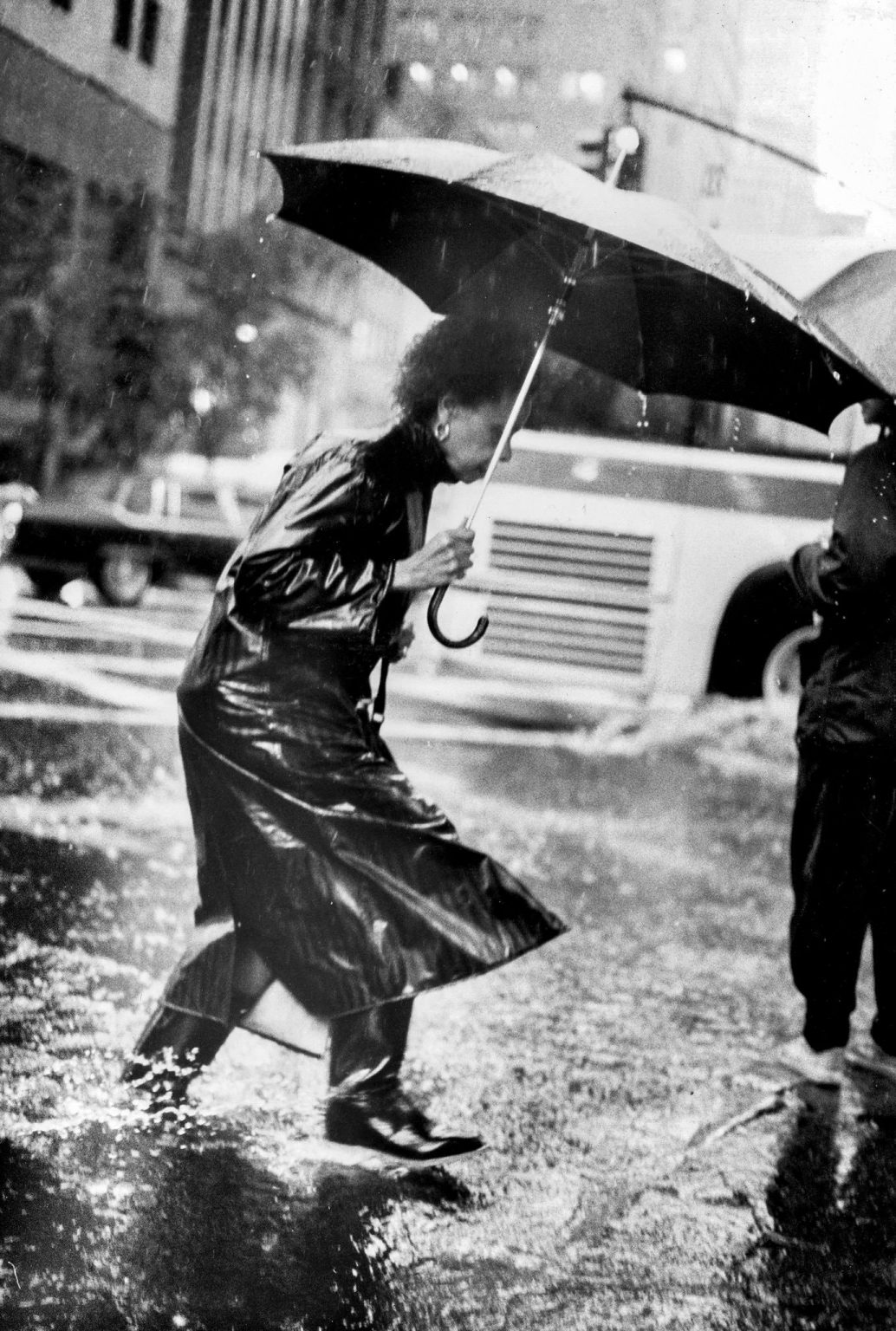 Bill Cunningham: From the Runway to the Street - Exibart Street