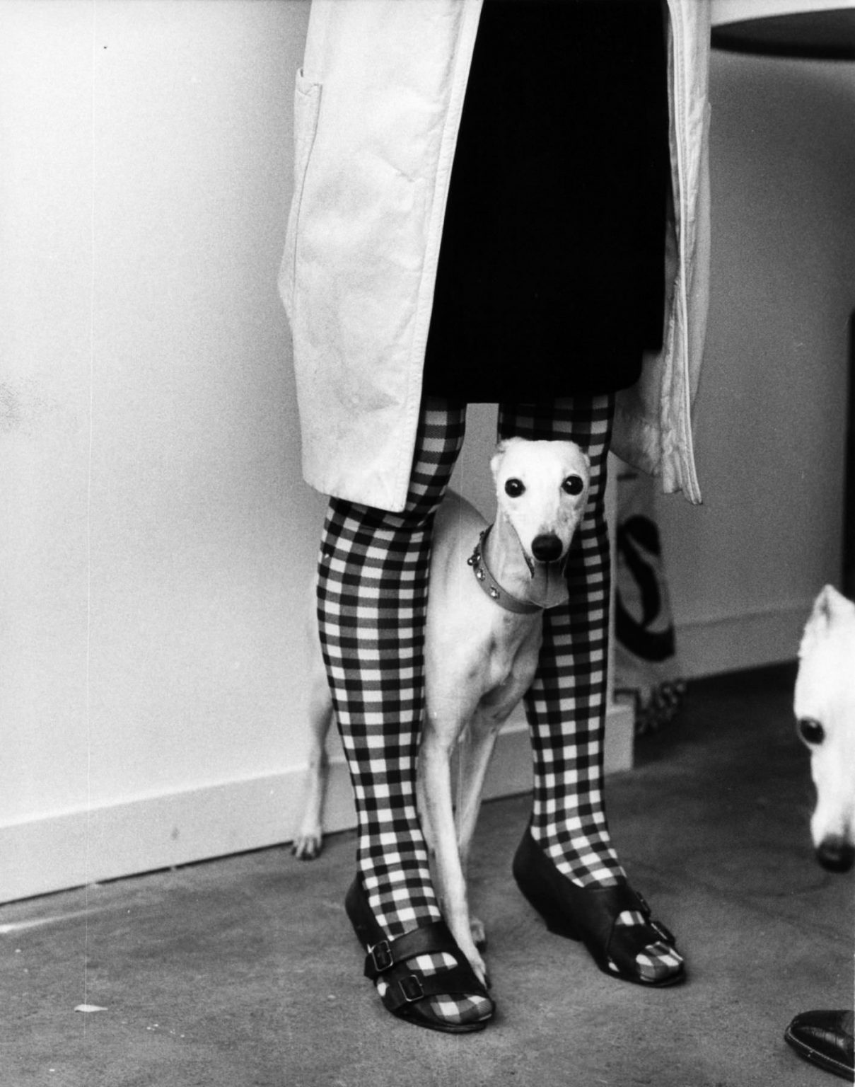 Bill Cunningham: From the Runway to the Street - Exibart Street