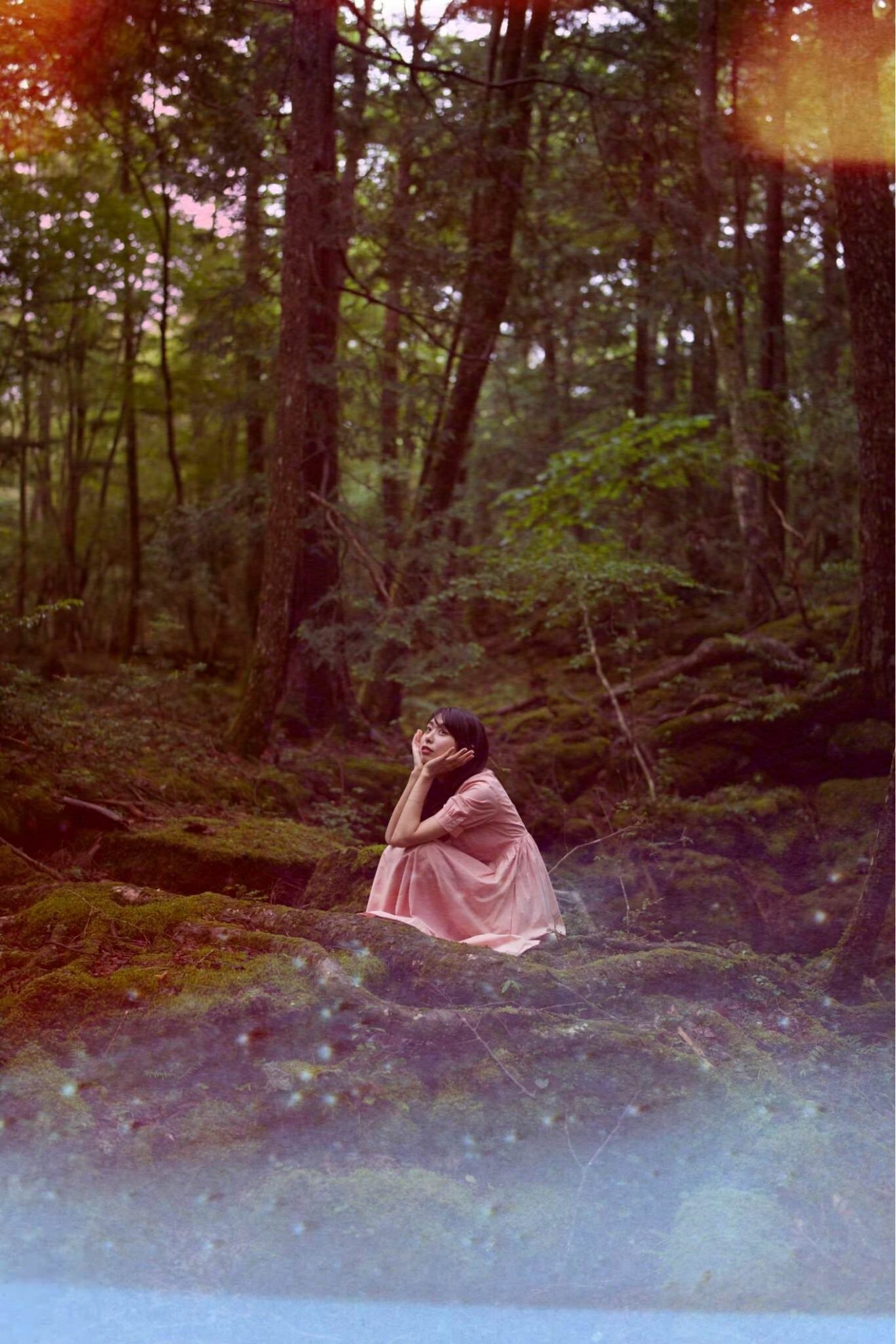 VSCO Introduces New Film Effects (FX) - Exibart Street