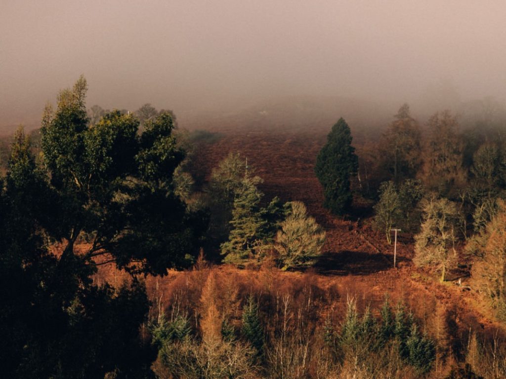 Robbie Lawrence: Northern Diary - Exibart Street