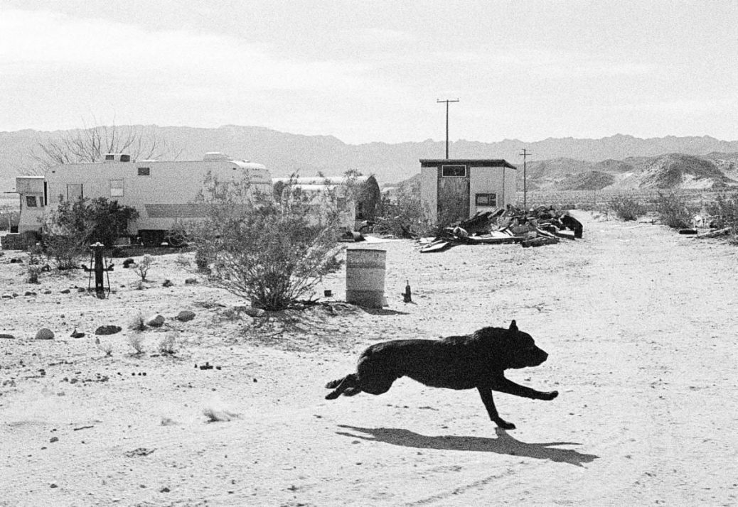 John Divola: SCAPES - Exibart Street