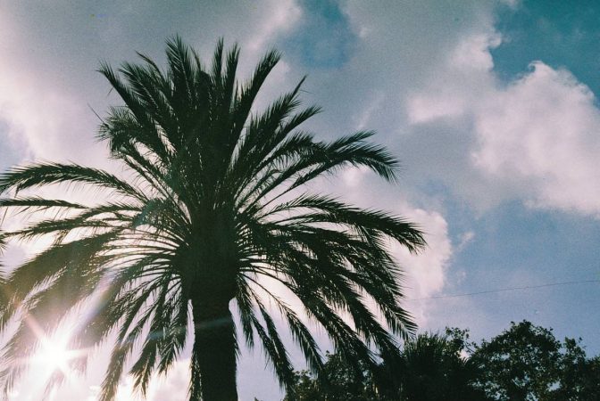 ORWO Unveils the New Color Film WOLFEN NC500 - Exibart Street