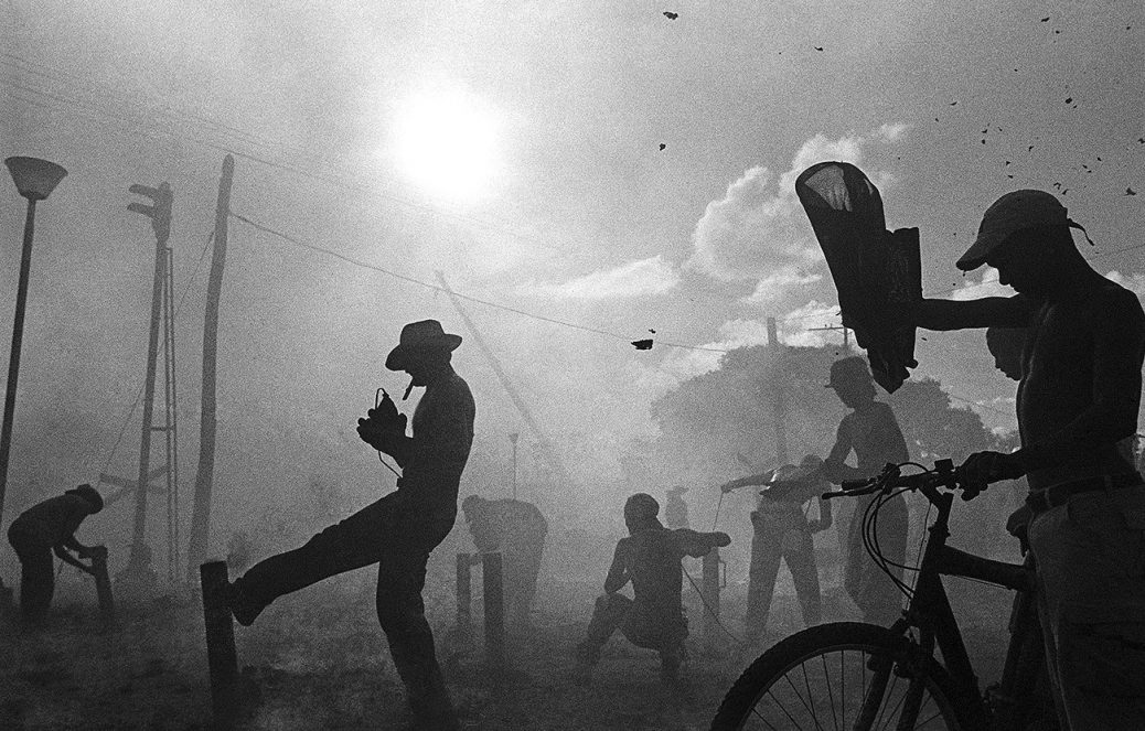 Raúl Cañibano: Absolut Cuba - Exibart Street