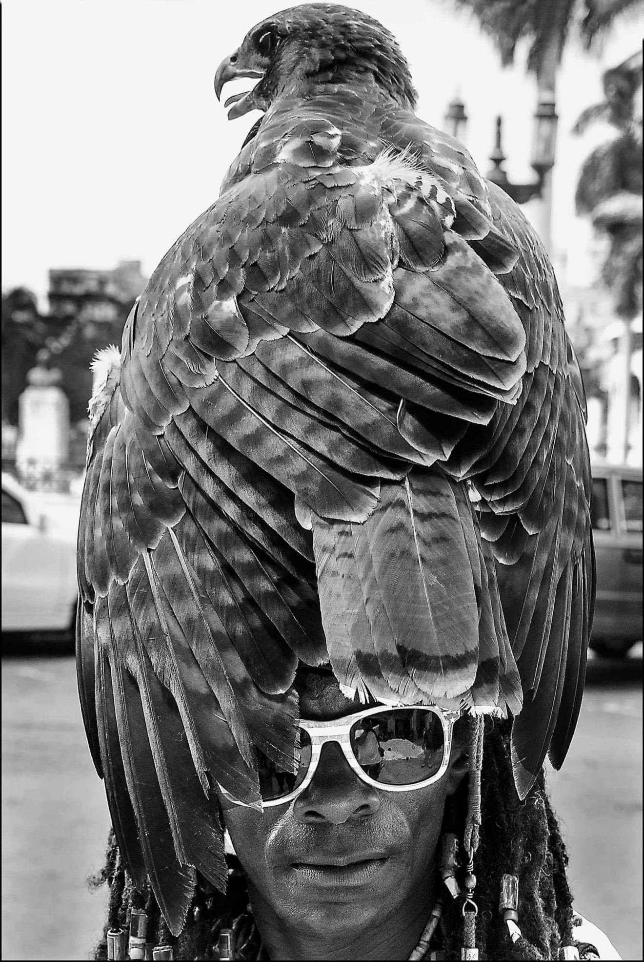 Raúl Cañibano: Absolut Cuba - Exibart Street