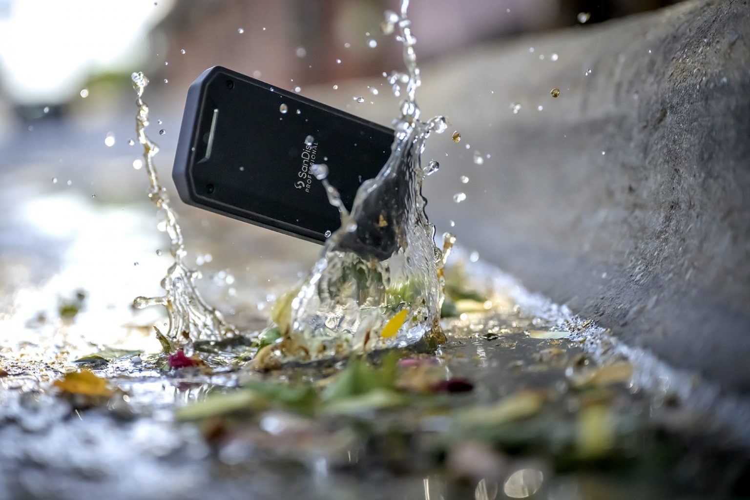 SanDisk Unveils the New Pro-G40 SSD - Exibart Street