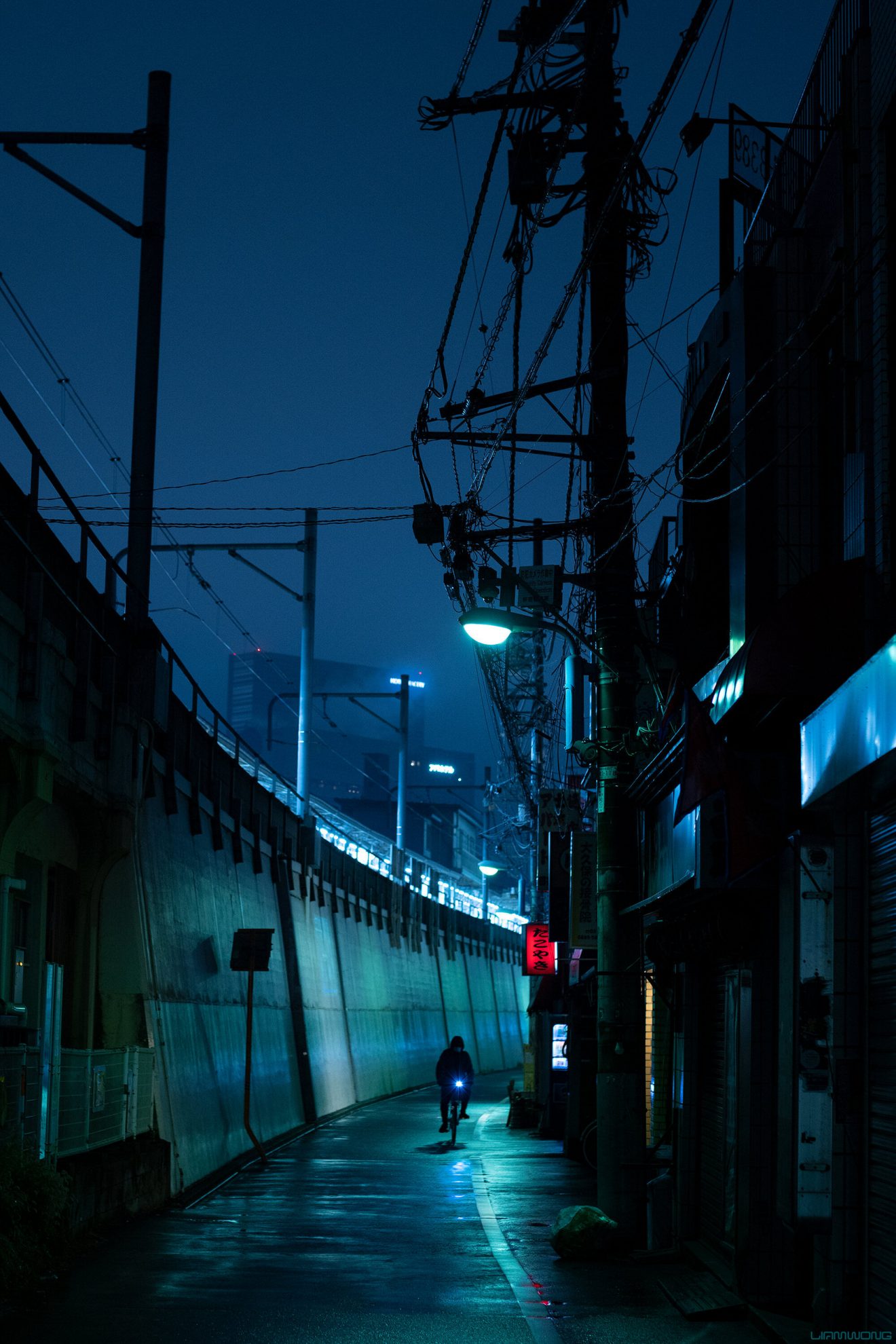 Liam Wong: After Dark - Exibart Street