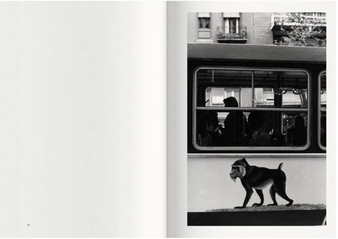 Javier Campano: Wandering Eye - Exibart Street