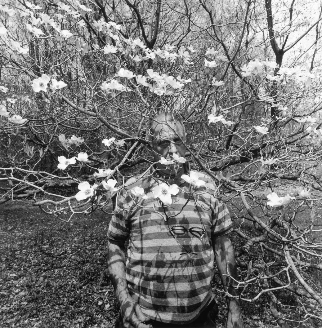Lee Friedlander Framed by Joel Coen - Exibart Street