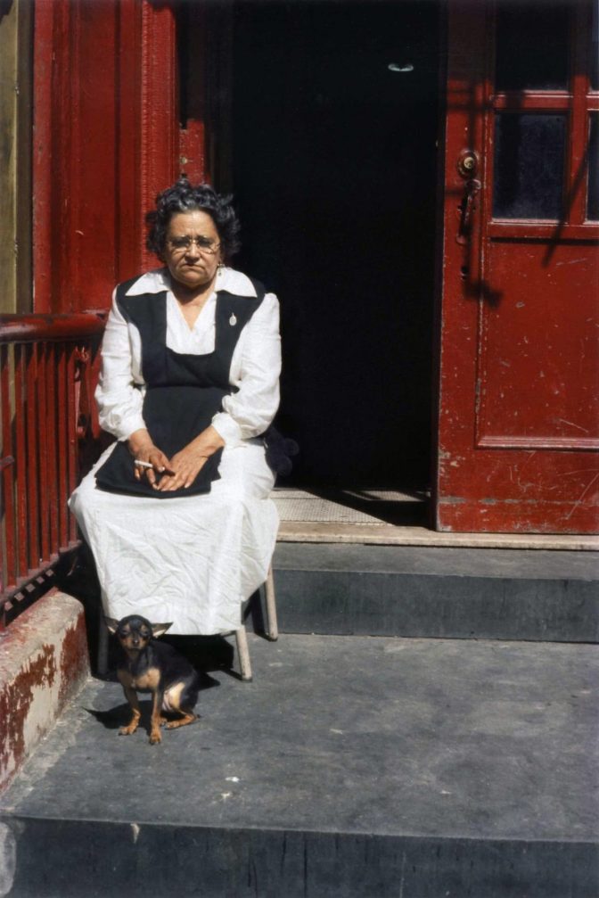 Helen Levitt: Body Language - Exibart Street