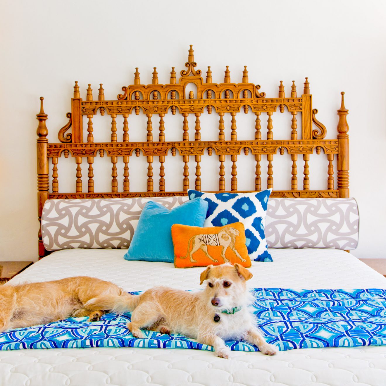 Nancy Baron: The Good Life - Exibart Street