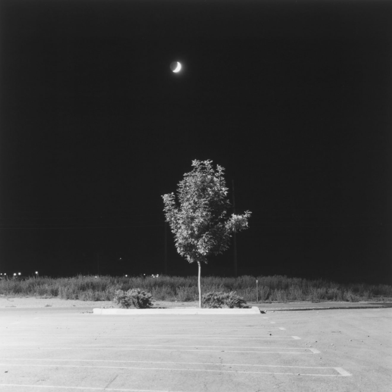 Robert Adams: Summer Nights, Walking - Exibart Street