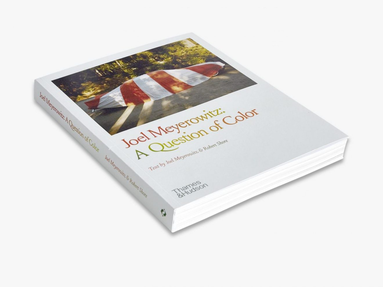 Joel Meyerowitz: A Question of Color - Exibart Street
