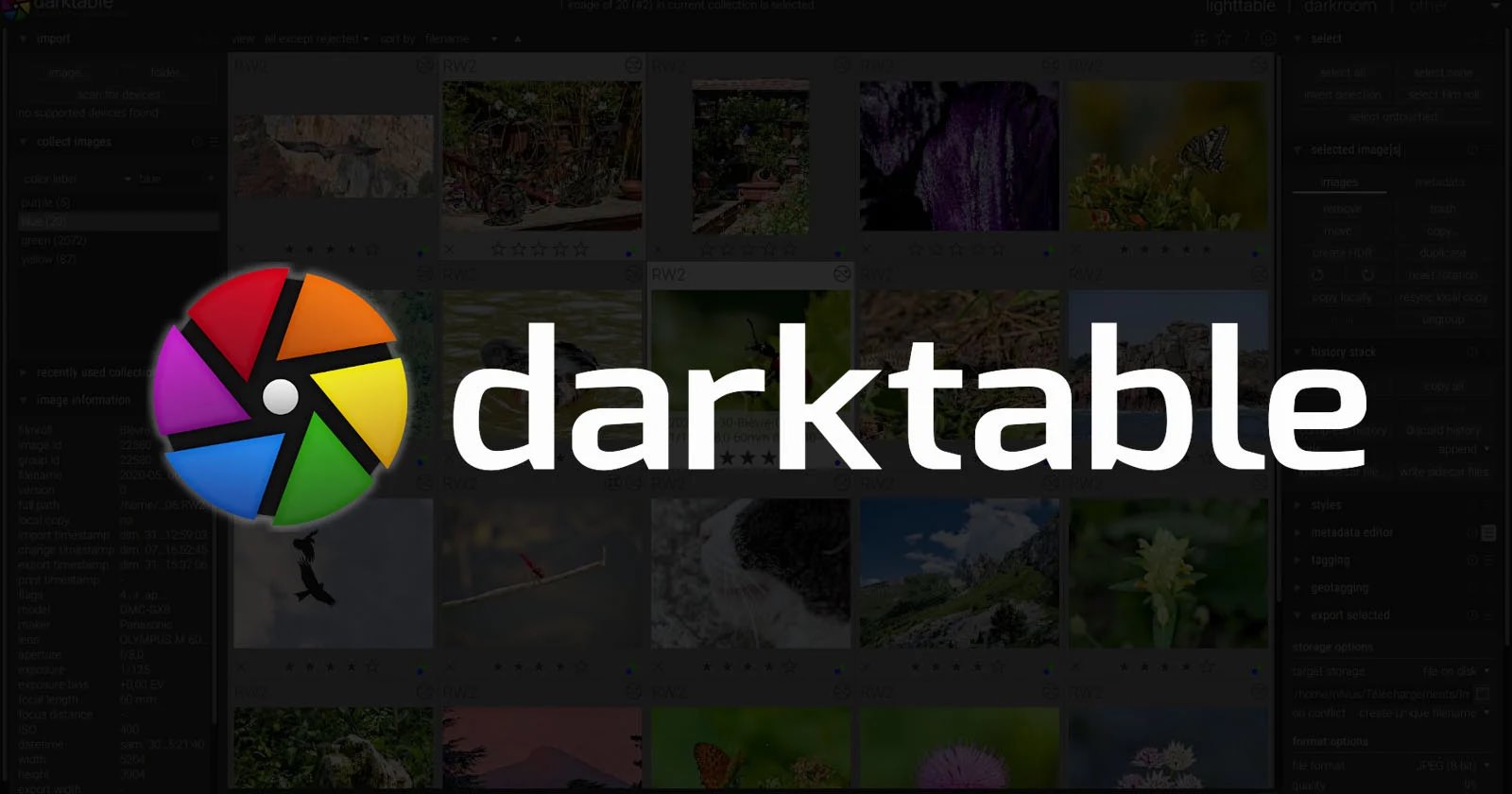 Darktable Introduces the 4.6.0 Version - Exibart Street