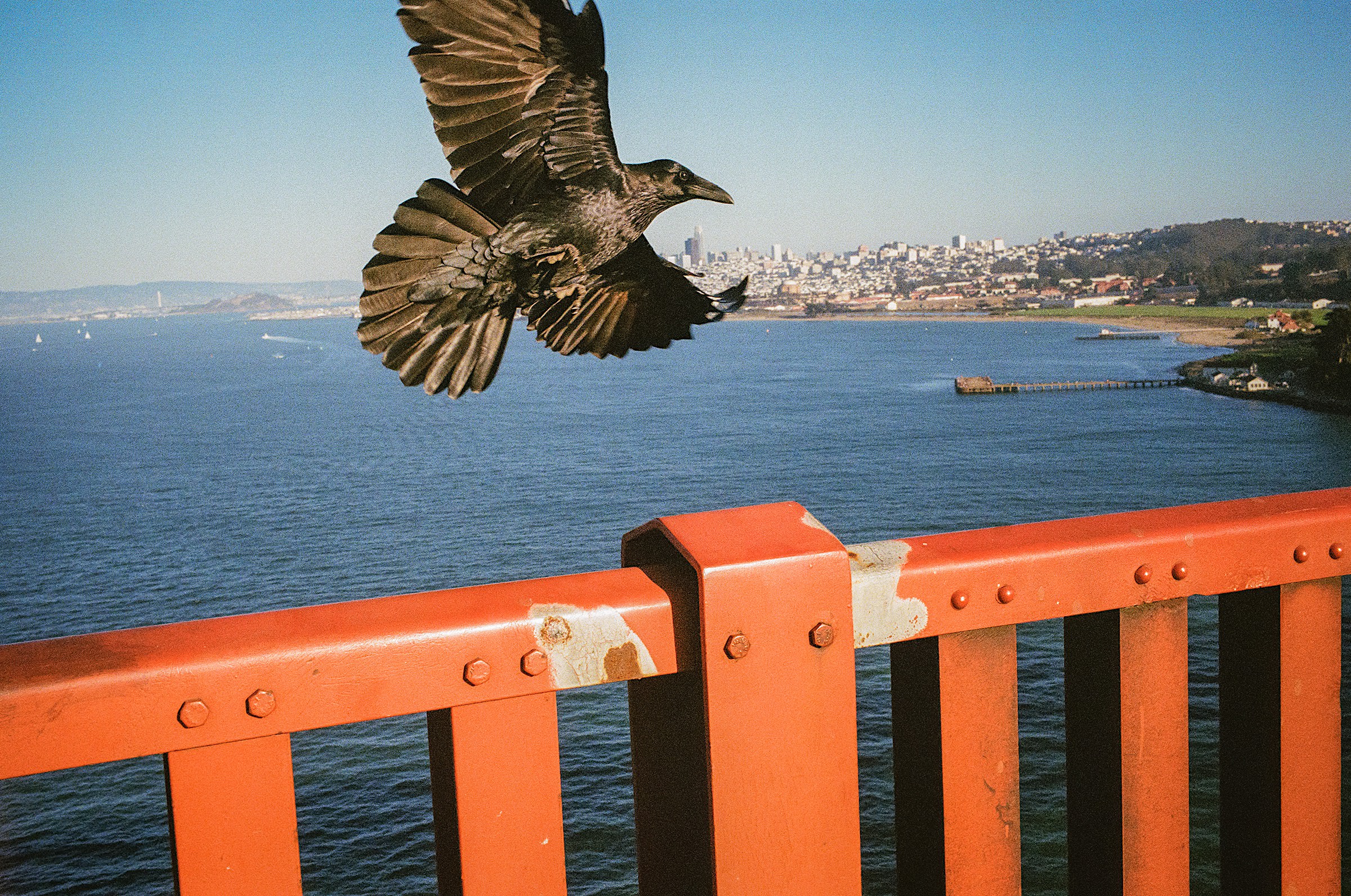 Brian L Frank, Jake Ricker, and Brandon Ruffin: This Must Be The Place ...