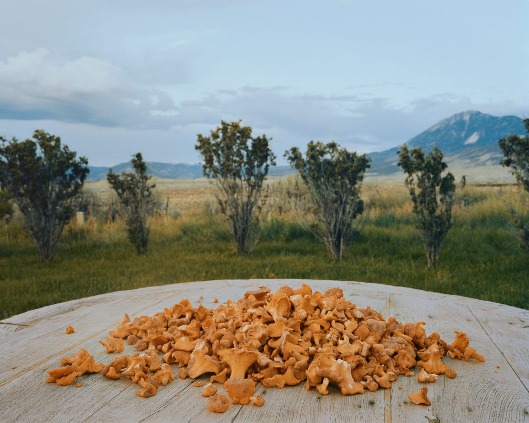 Trent Davis Bailey & Brian Adams: Personal Geographies - Exibart Street