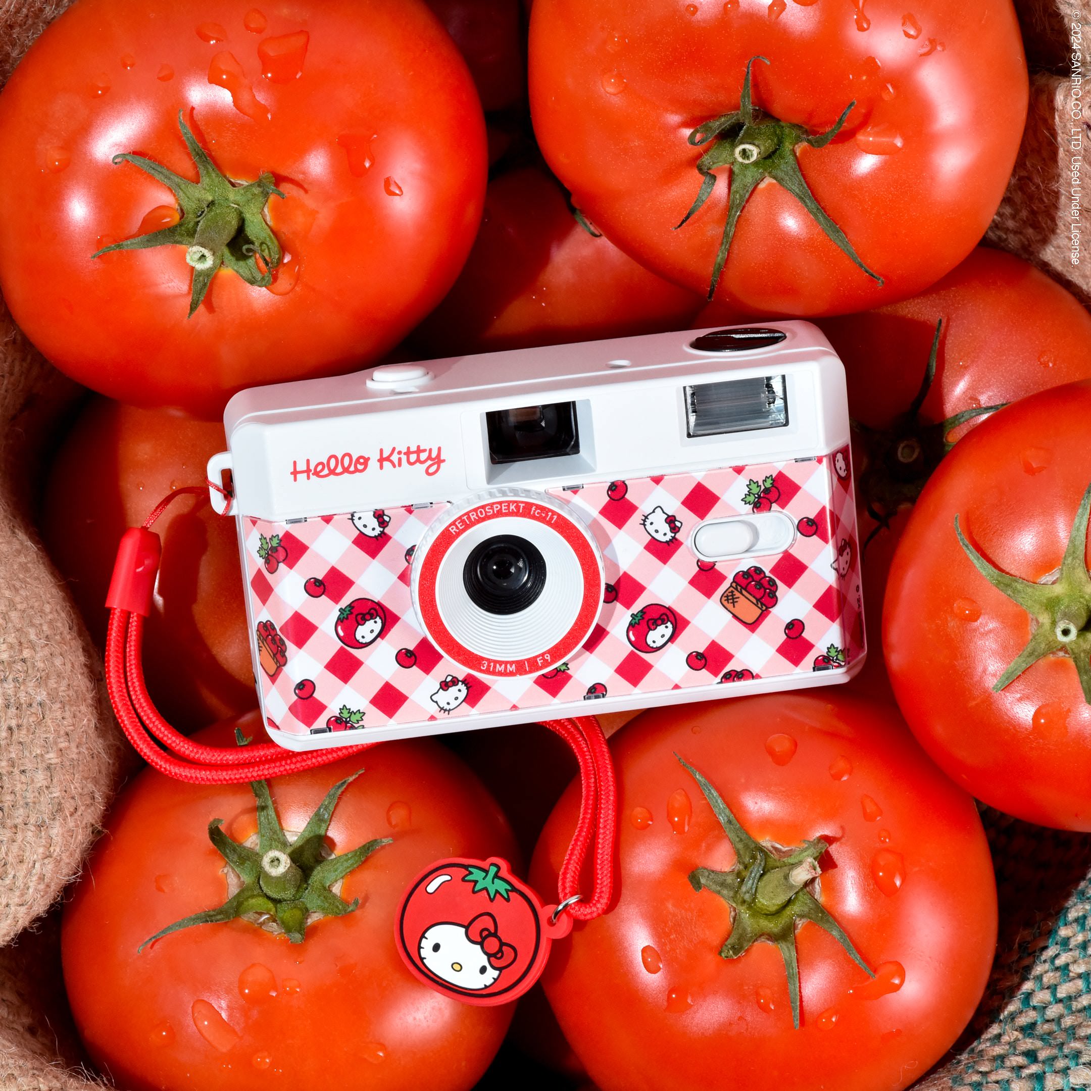 Introducing the Limited-Edition Hello Kitty Tomatoes Film Camera ...