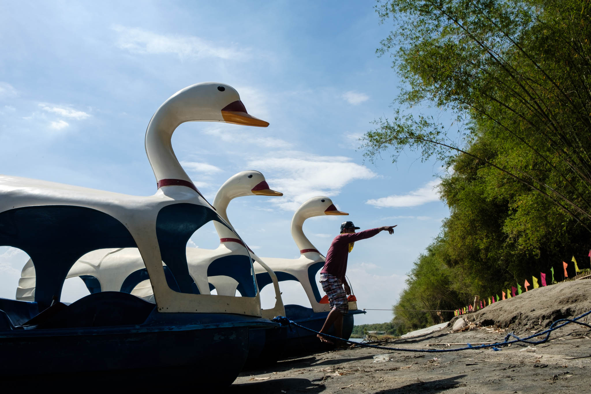 Swan Gang - Exibart Street