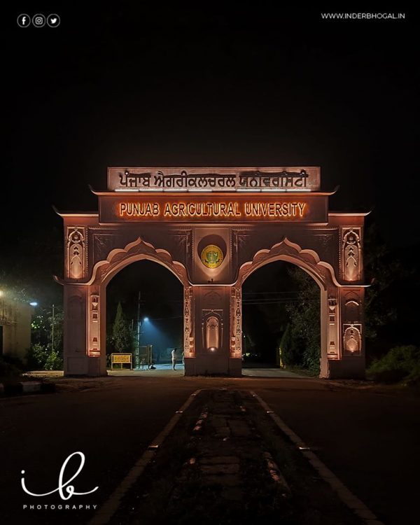 PAU Gate Ludhiana - Exibart Street