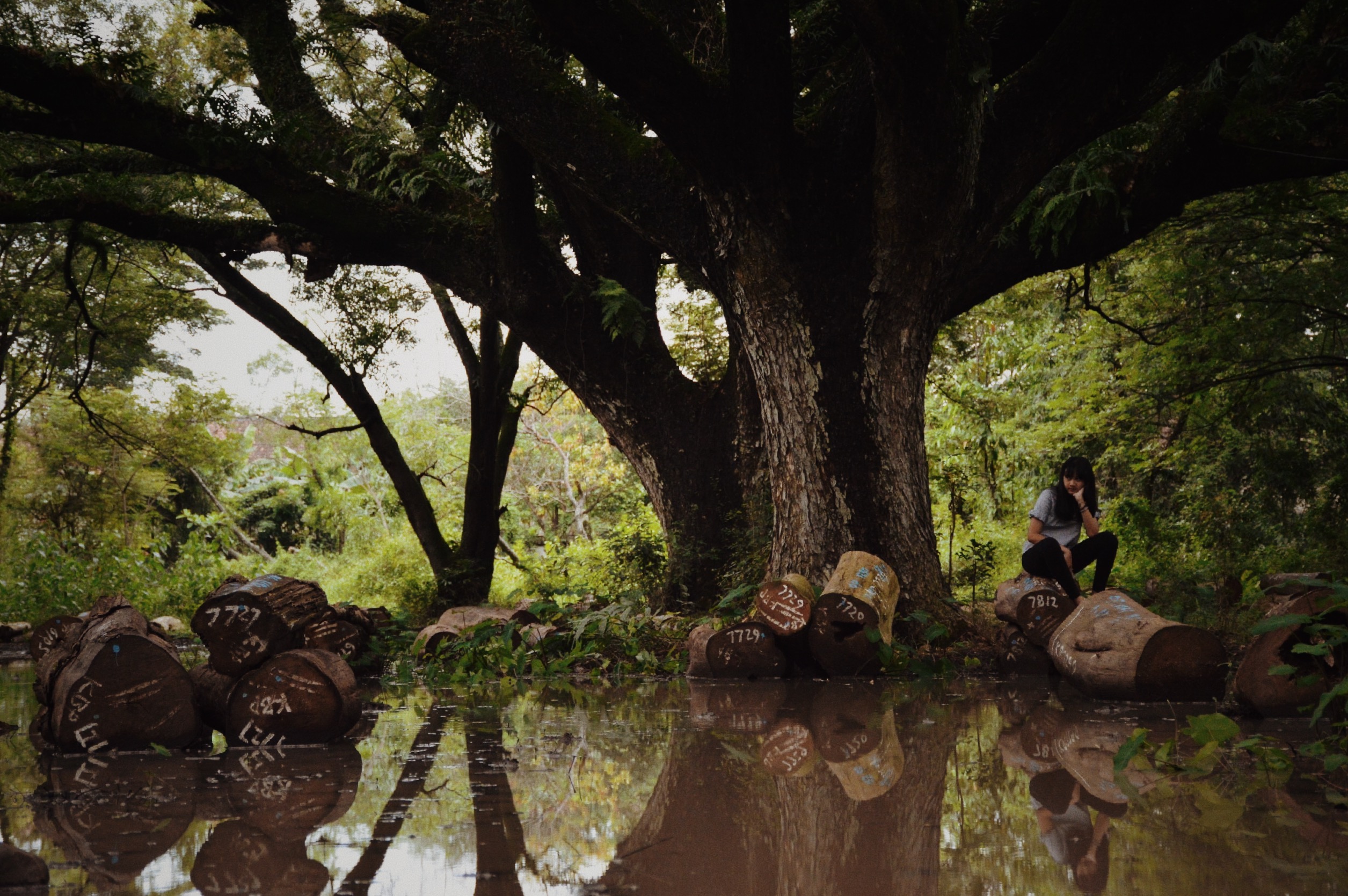 Lady in the swamp - Exibart Street