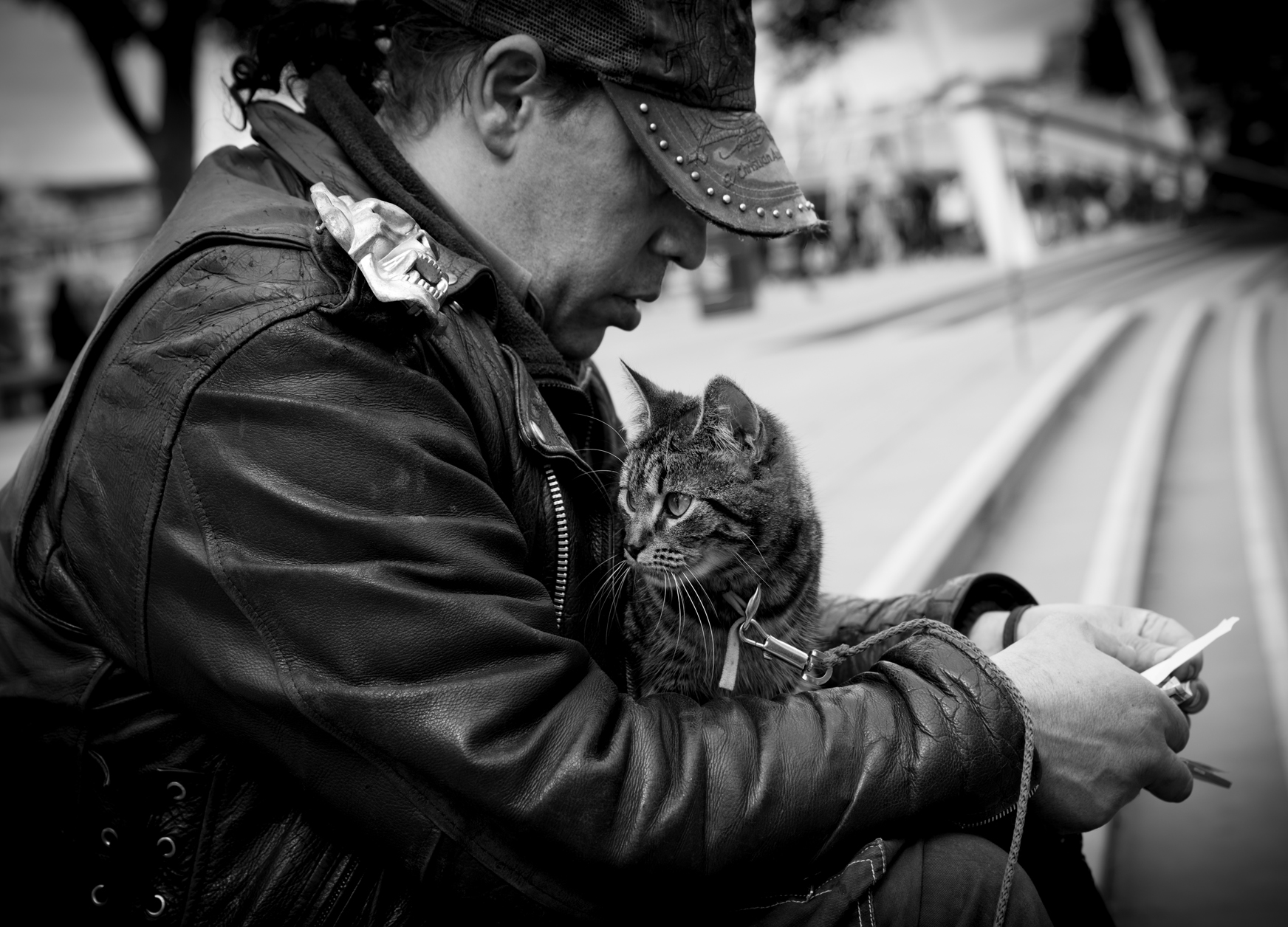 Cat Man - Exibart Street