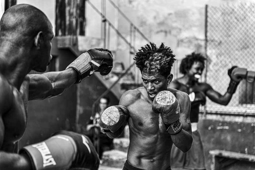 Cuban Boxing - Exibart Street