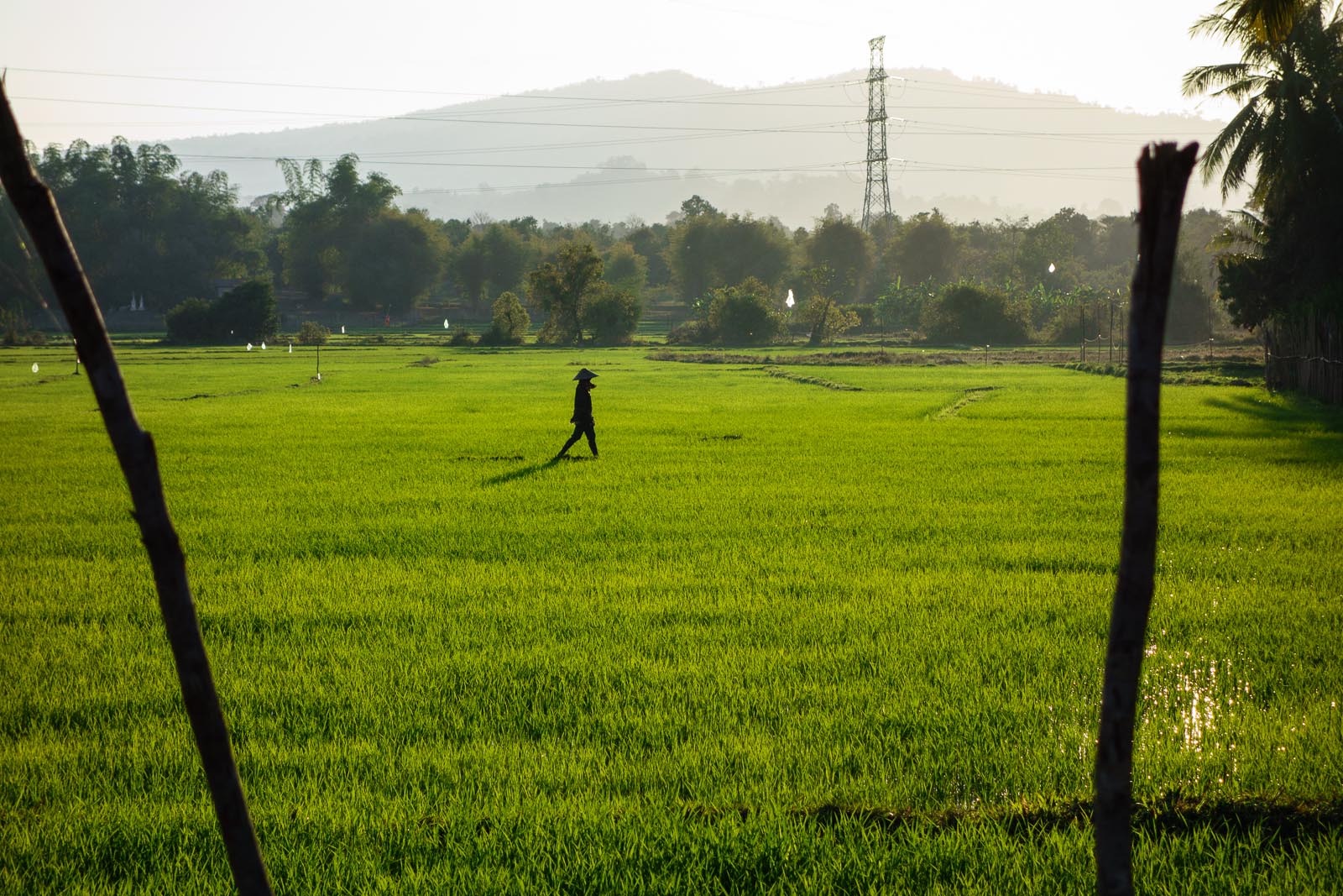 Walk in the fields - Exibart Street