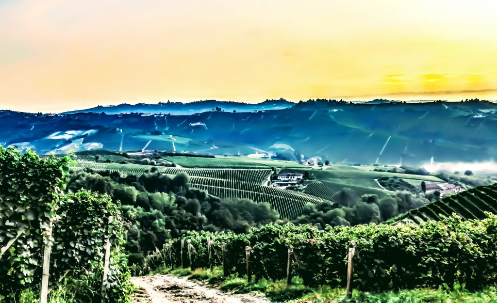 Langhe valley - Exibart Street