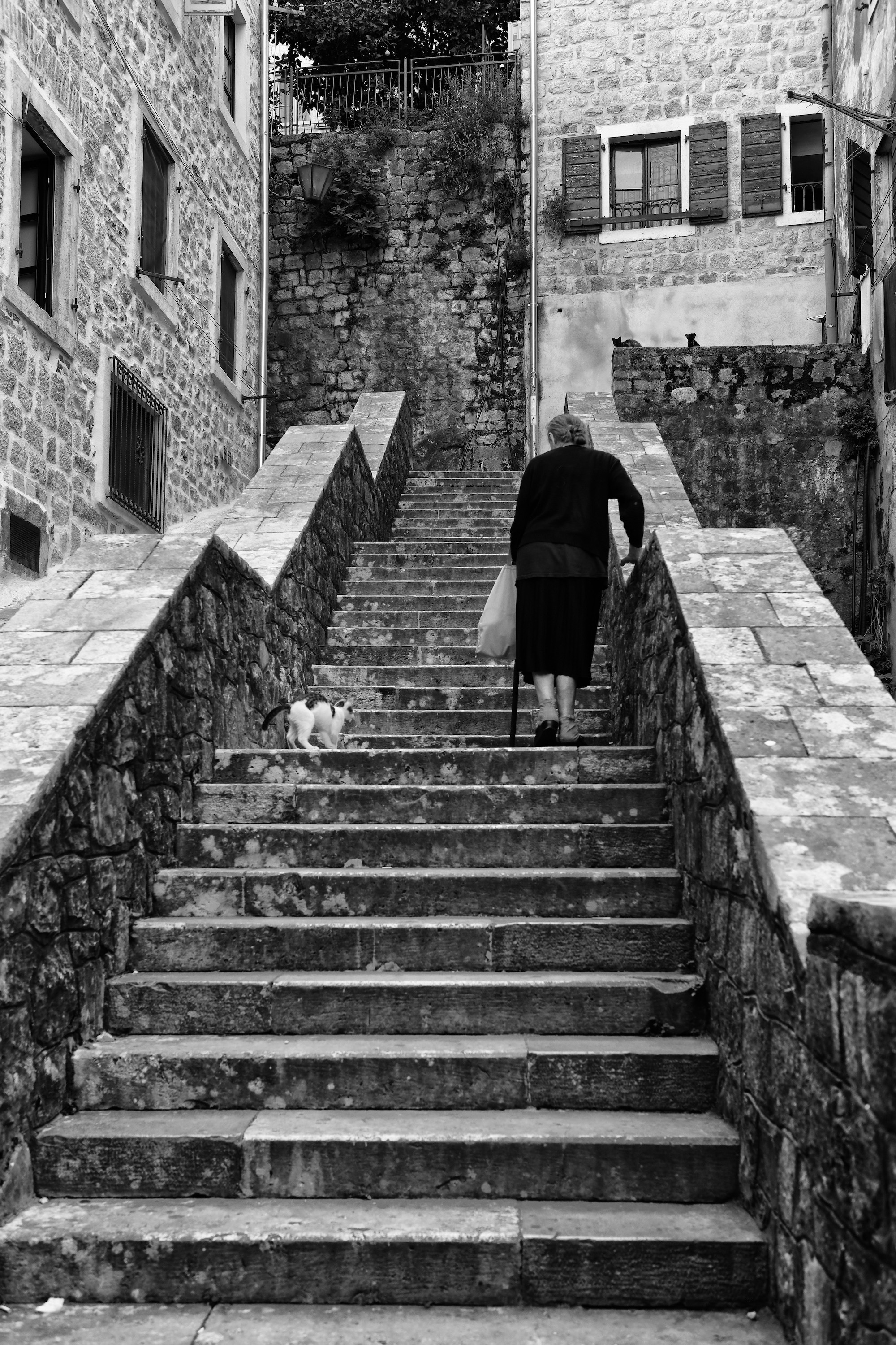 Starica i Macke - Exibart Street