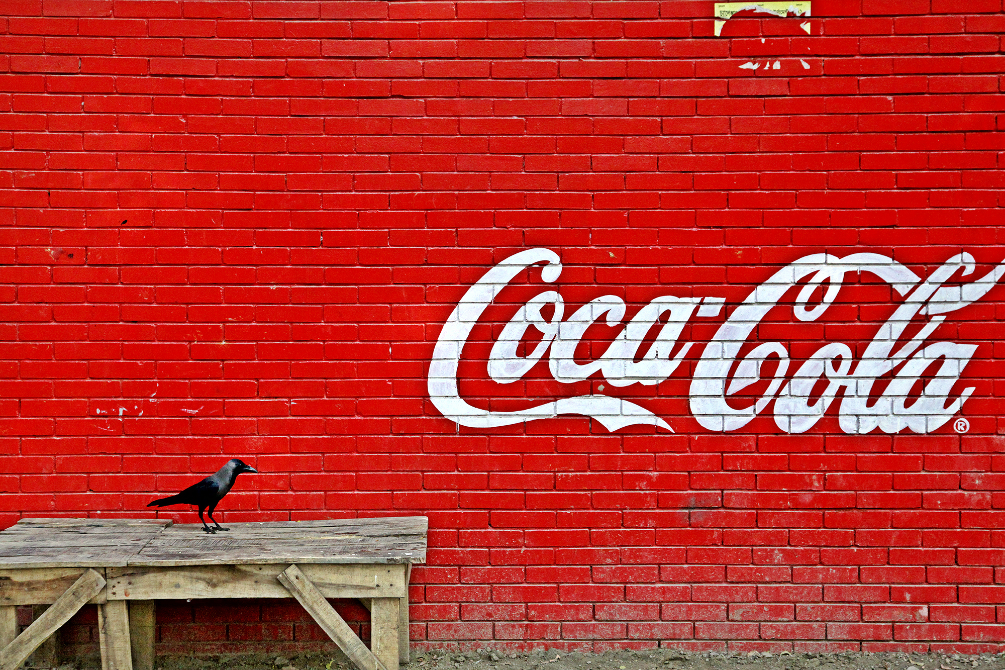 CROW AND COCA COLA - Exibart Street