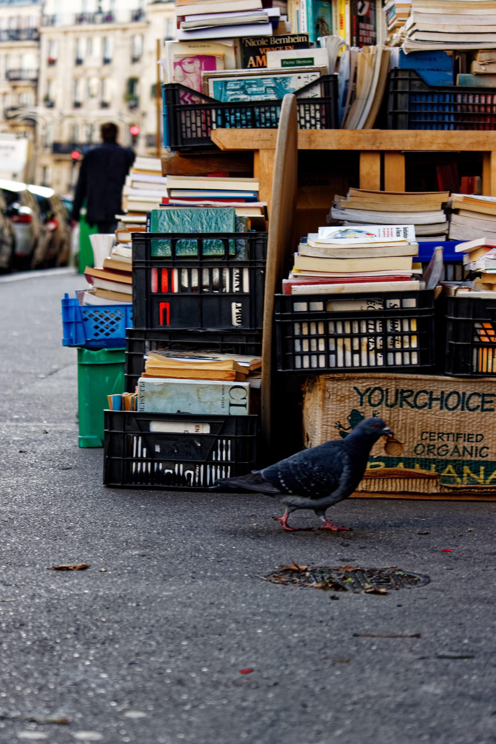 Stuff to Read - Exibart Street