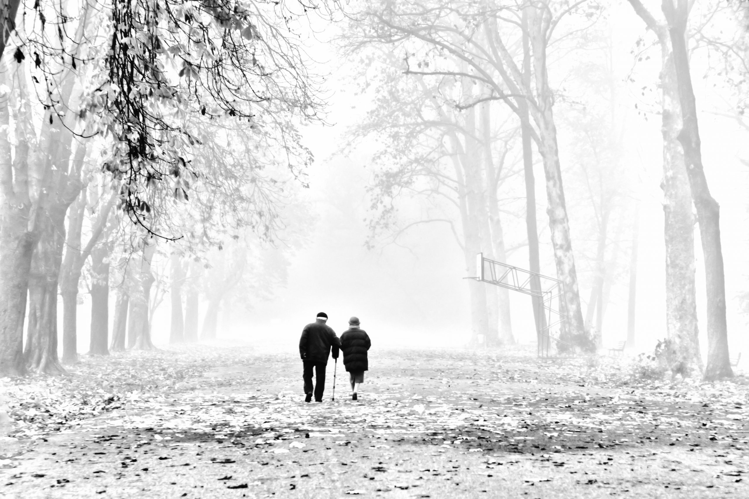 Alex Premoli – Exibart Street