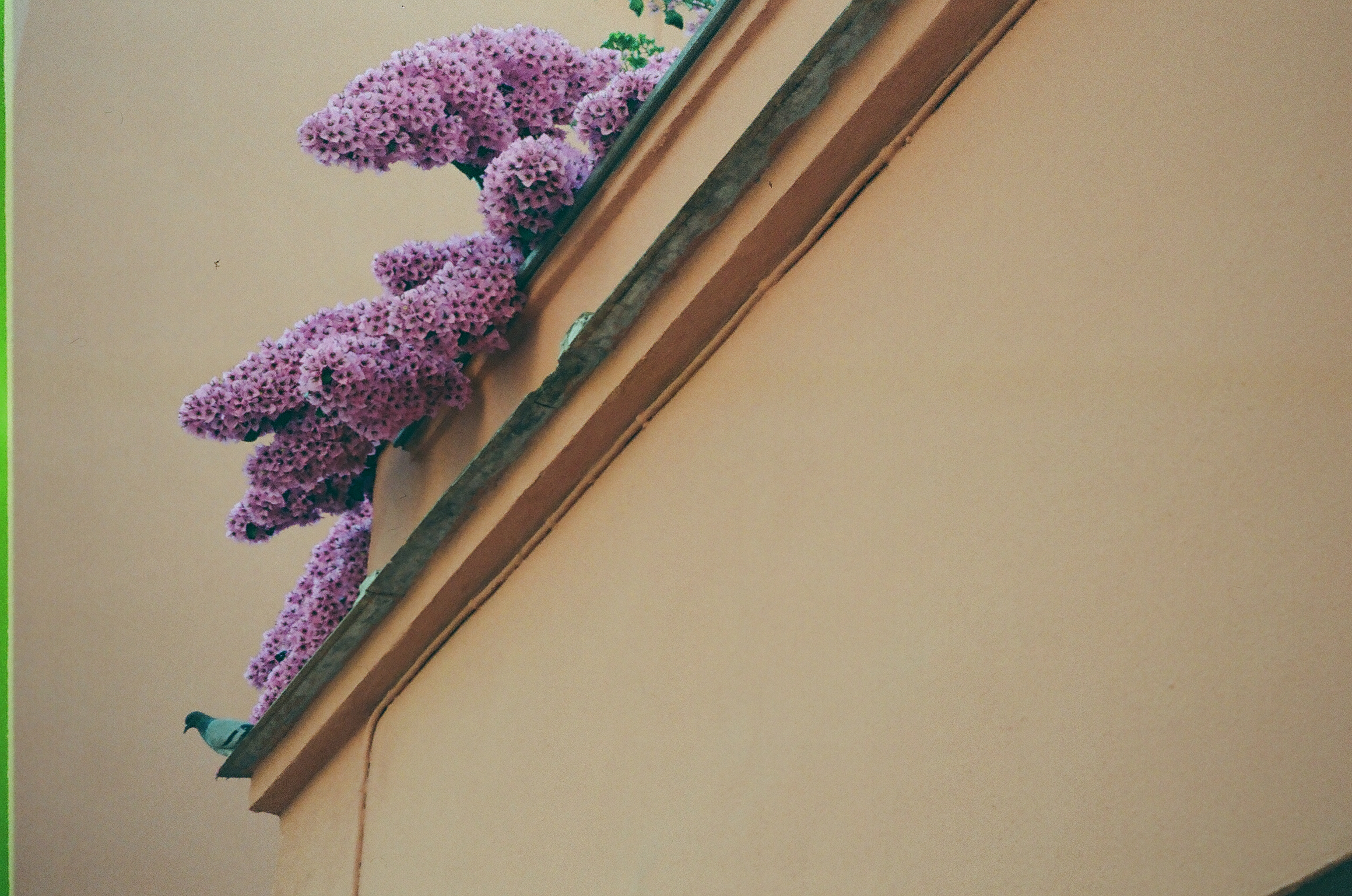 ilya samusenko – Exibart Street