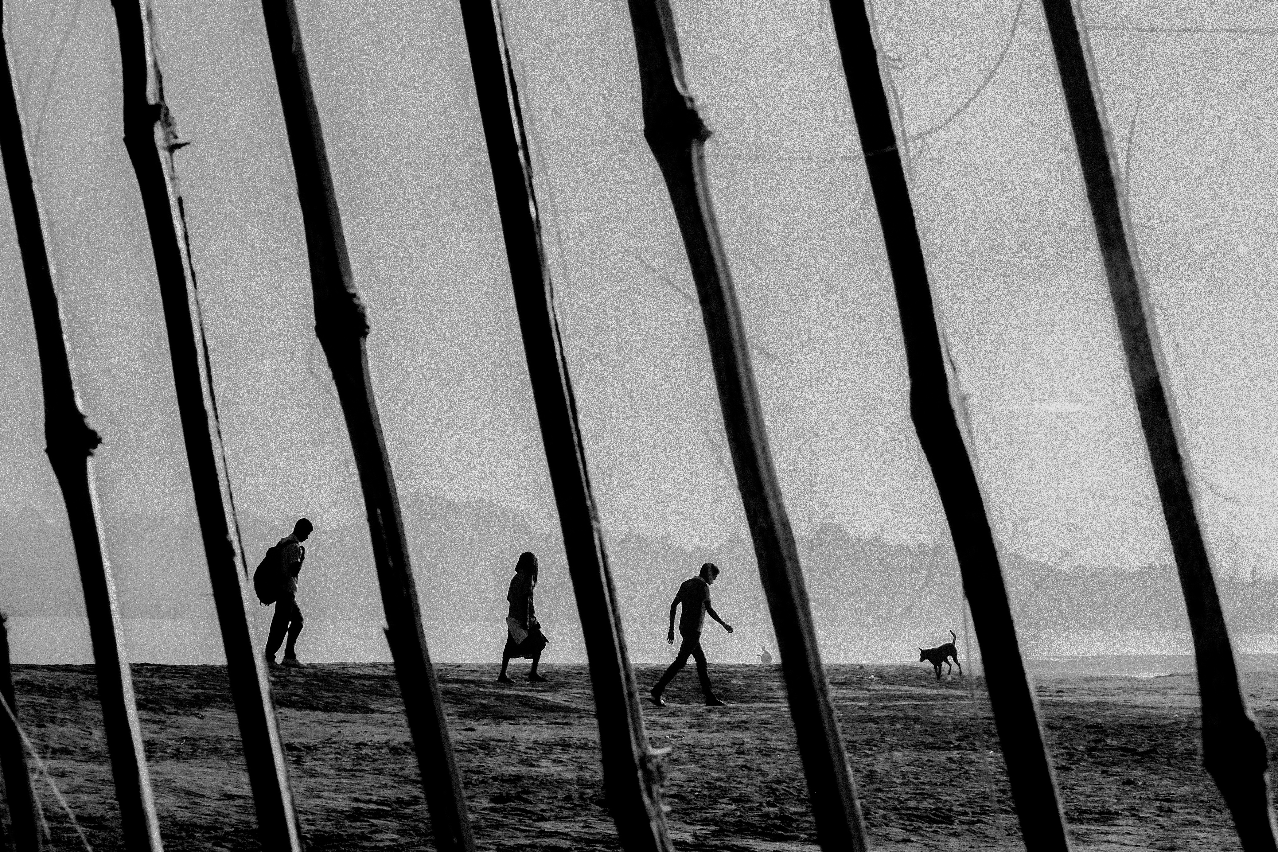 Jibon Jibon Malaker – Exibart Street