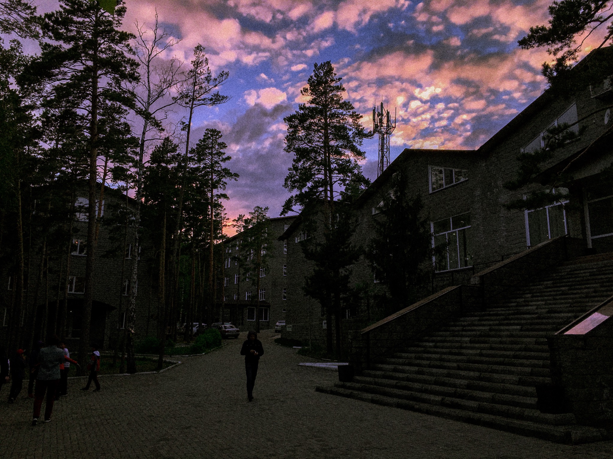 Mid of nowhere - Exibart Street