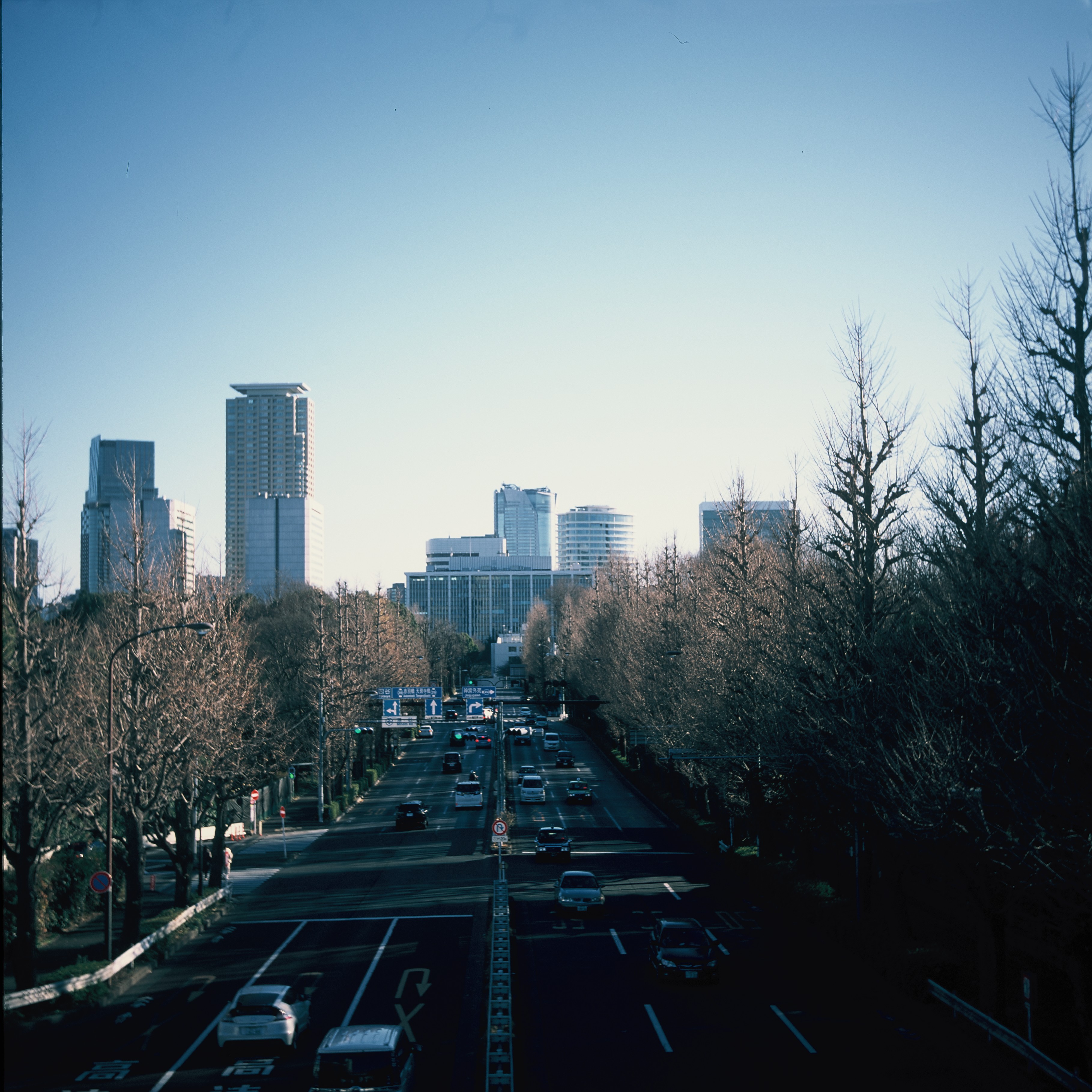 Avenue - Exibart Street