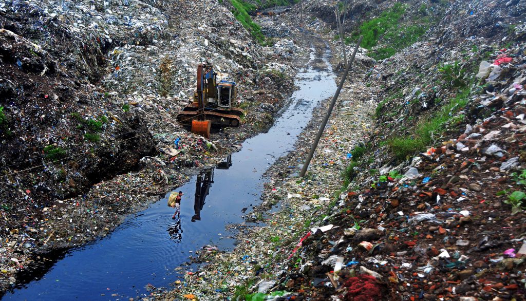 Finding life from garbage - Exibart Street