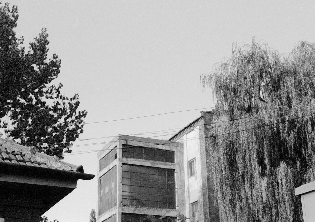 Strada Polona - Exibart Street
