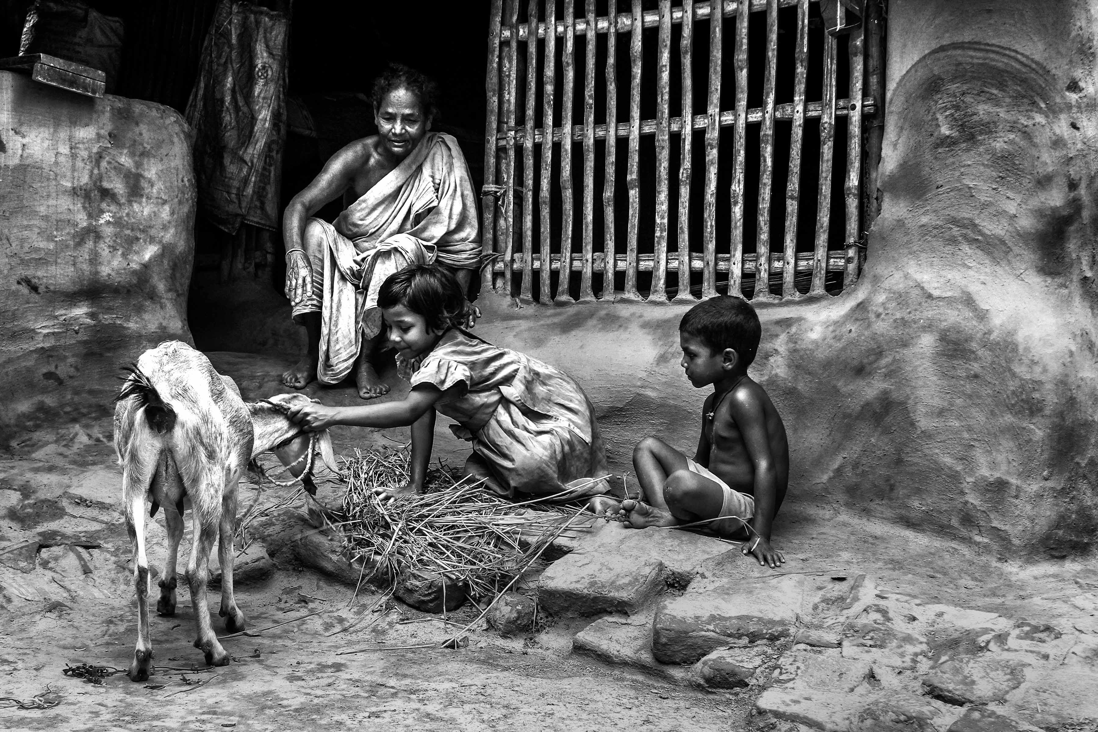 Rural Family - Exibart Street