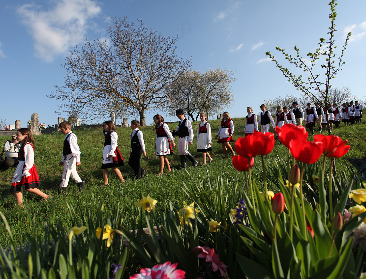 Traditional walk - Exibart Street
