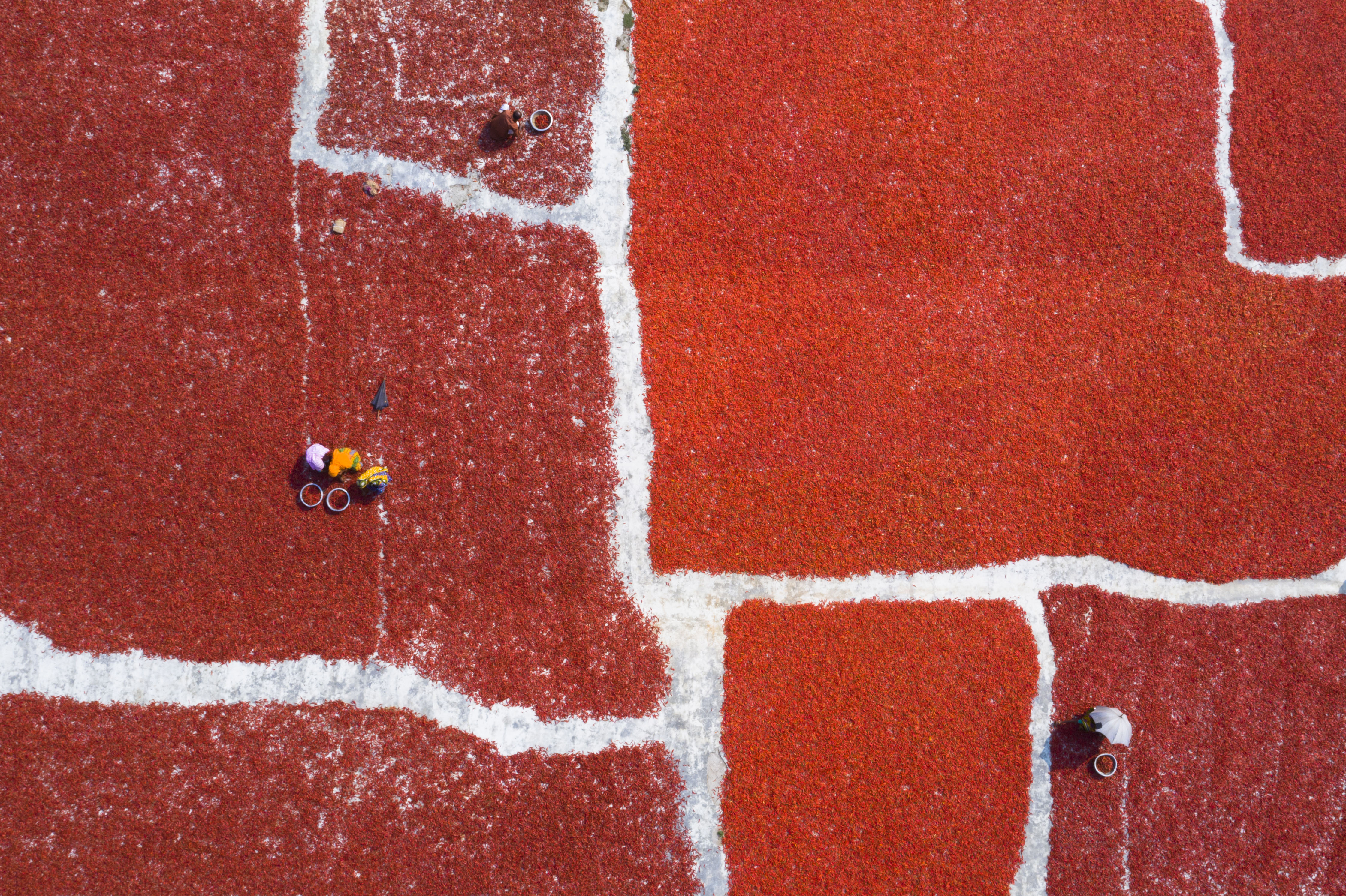 Mominul Islam Momin – Exibart Street